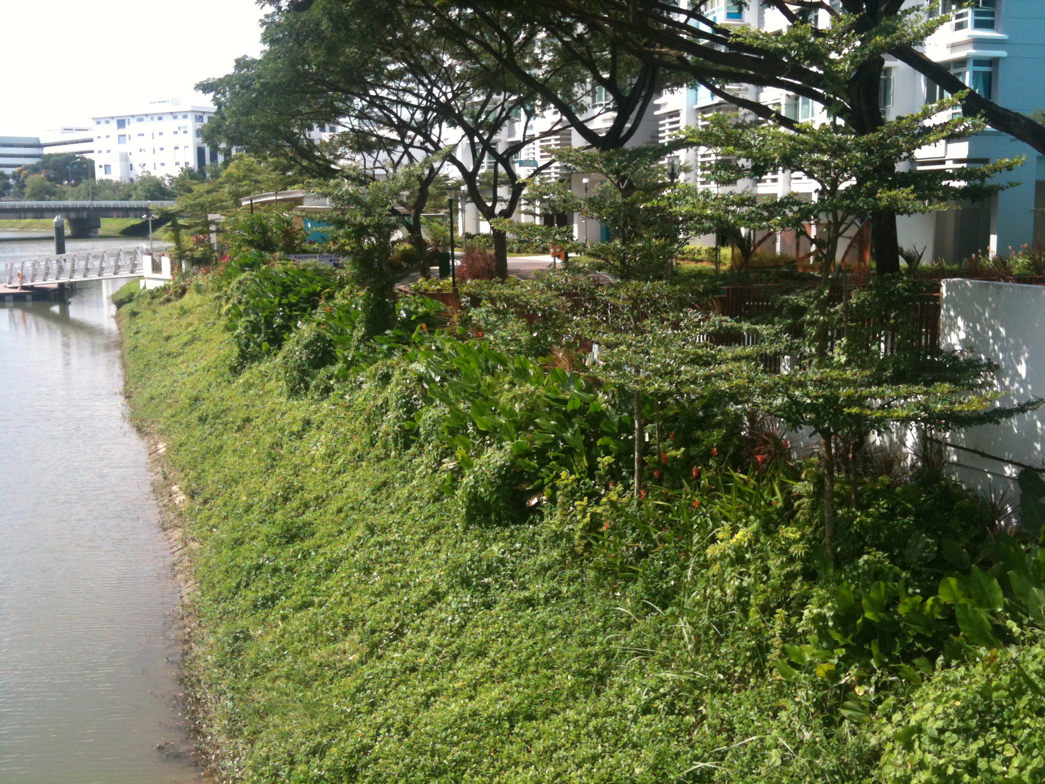 Kallang Park Connector